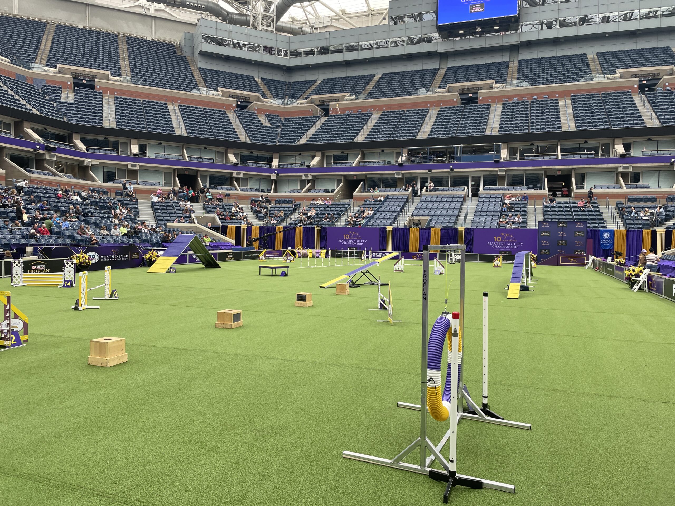 Live From 147th Westminster Dog Show: Inside the Preparation, Execution ...
