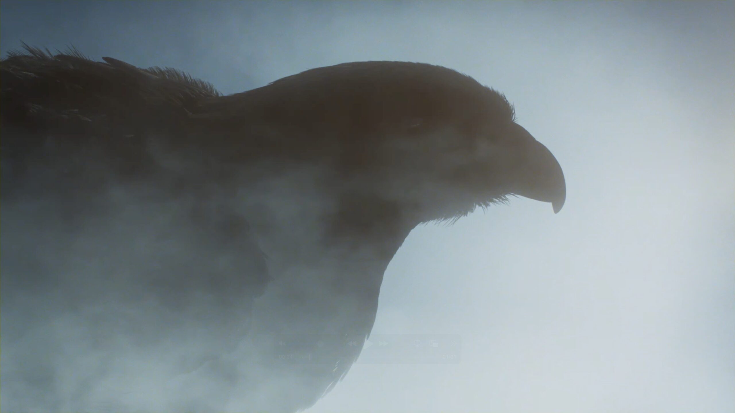 Time To Take Flight: The Famous Group, Seattle Seahawks Begin Sunday’s ...